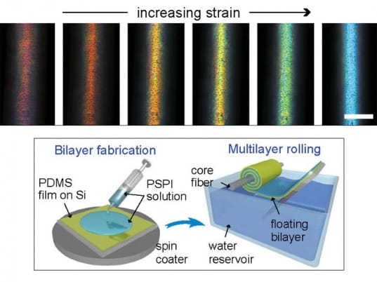 Scientists create fiber that changes color when stretched